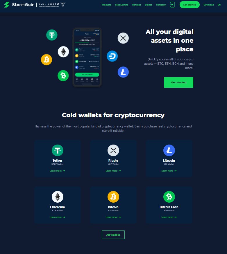 Stormgain Crypto Broker Review - BEST CRYPTO BROKER??